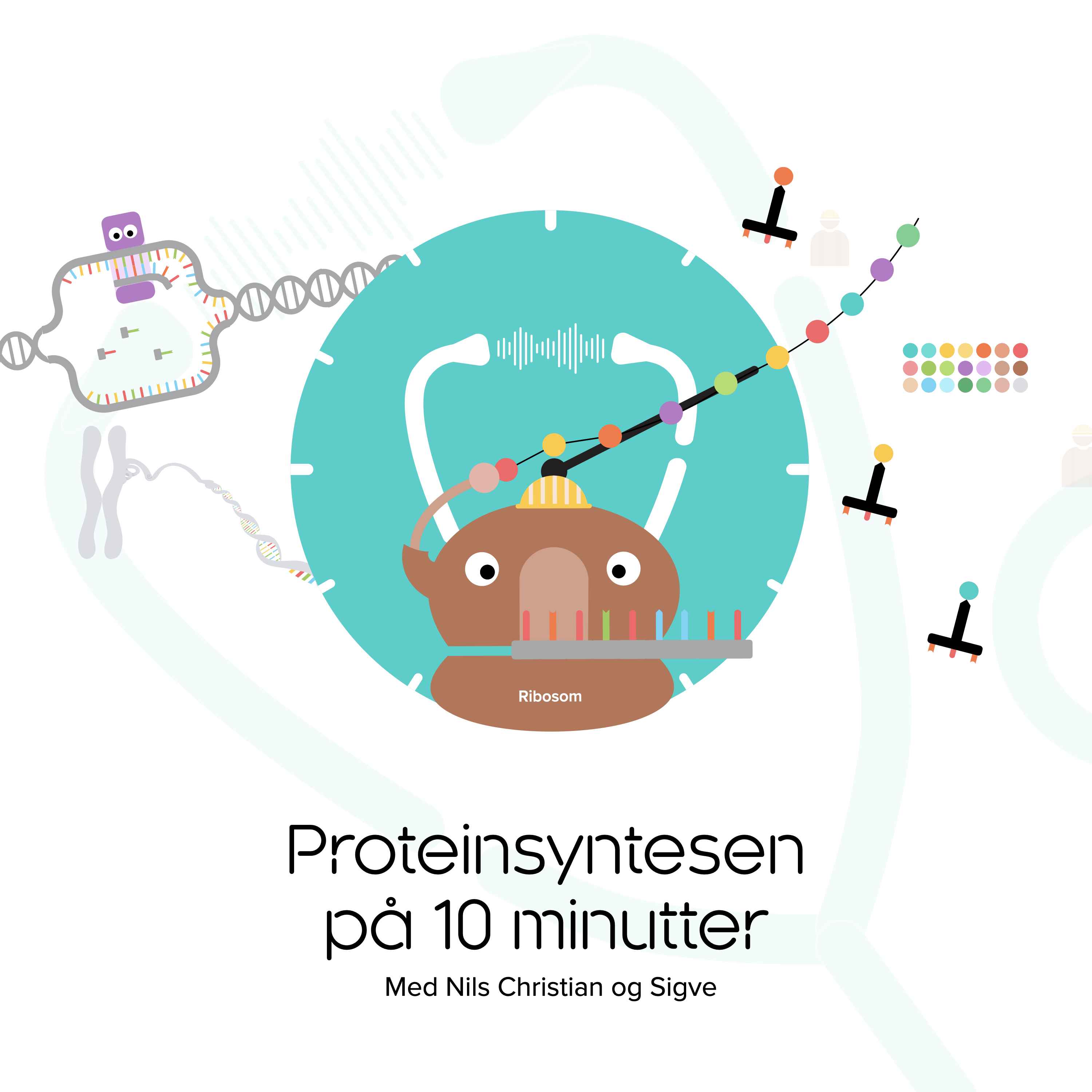 Proteinsyntesen på 10 minutter - podcast - MedEasy